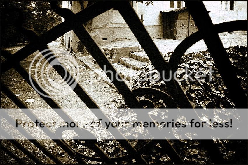 Ograda, plot i taraba - Ostale fotografske teme - Dizajn Zona