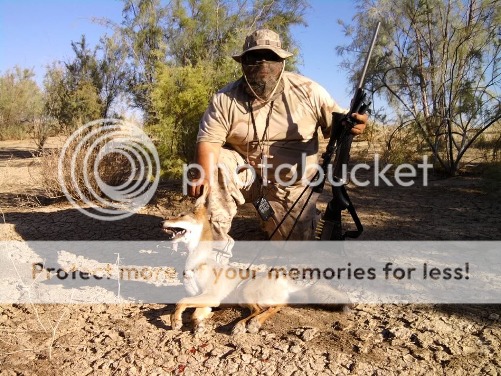 Dead Predator Picture Thread!!! | Bloodydecks