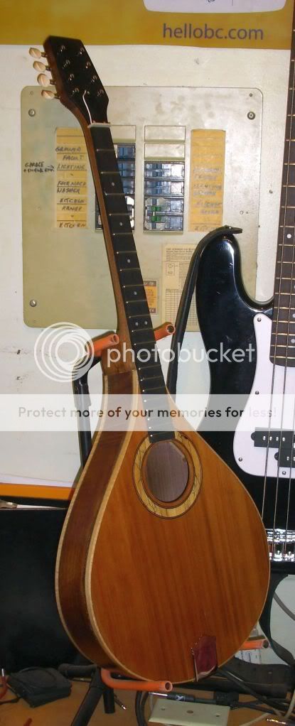 IRISH BOUZOUKI (OCTAVE MANDOLIN) Kits - Page 4