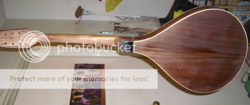 IRISH BOUZOUKI (OCTAVE MANDOLIN) Kits - Page 4