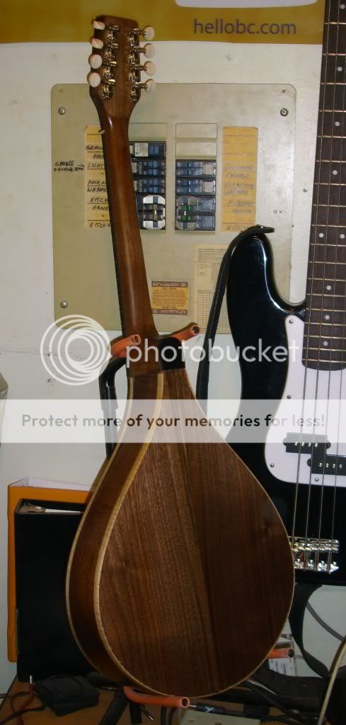 IRISH BOUZOUKI (OCTAVE MANDOLIN) Kits - Page 4