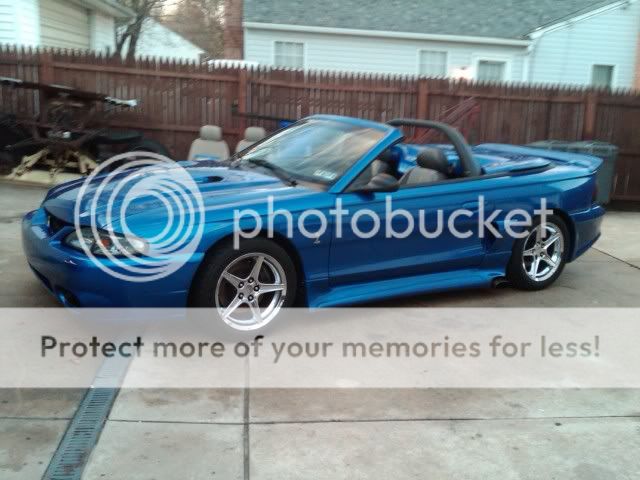 03/04 Cobra bumper on a sn95? | Ford Mustang Forums