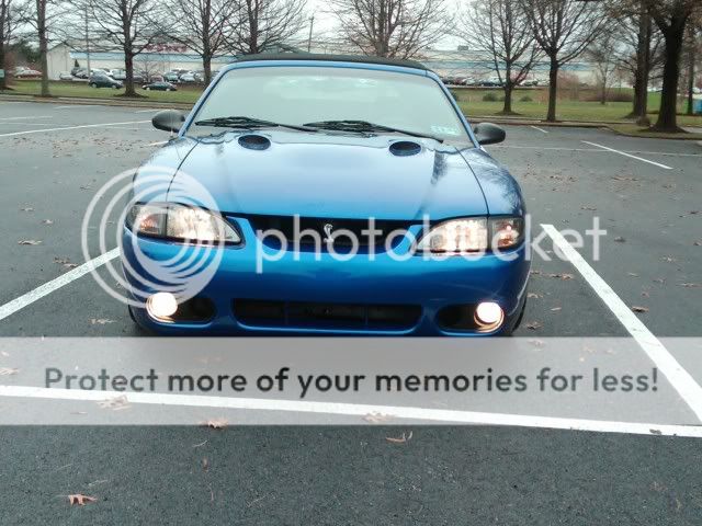 03/04 Cobra bumper on a sn95? | Ford Mustang Forums