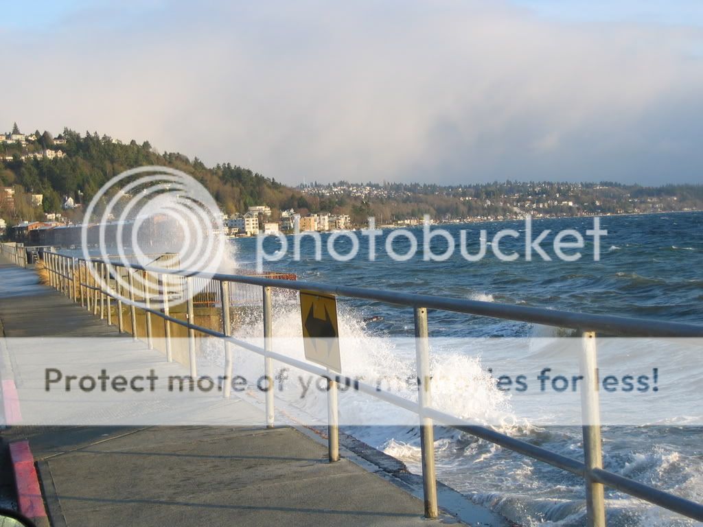 Seattle Pictures from March 2008 (Pacific: living in, weather, work ...