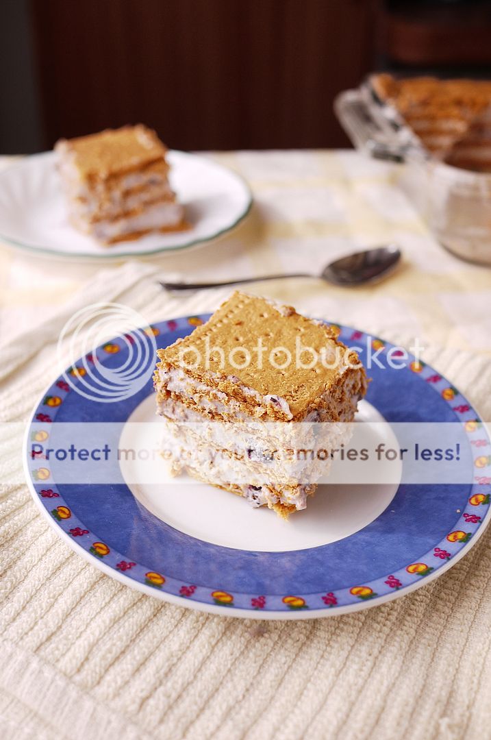 Blueberries and Cream Graham “Bars” | The Hungry Giant