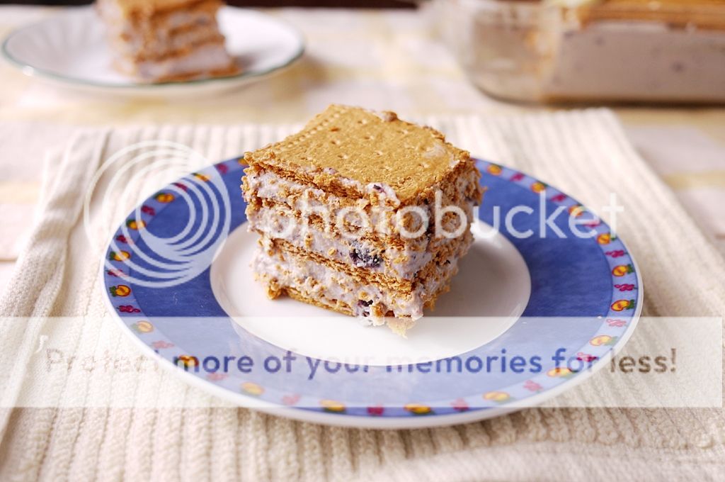 Blueberries and Cream Graham “Bars” | The Hungry Giant
