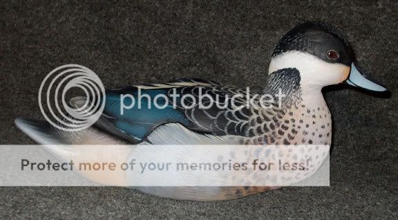 southern ducks | Duck Hunting Forum